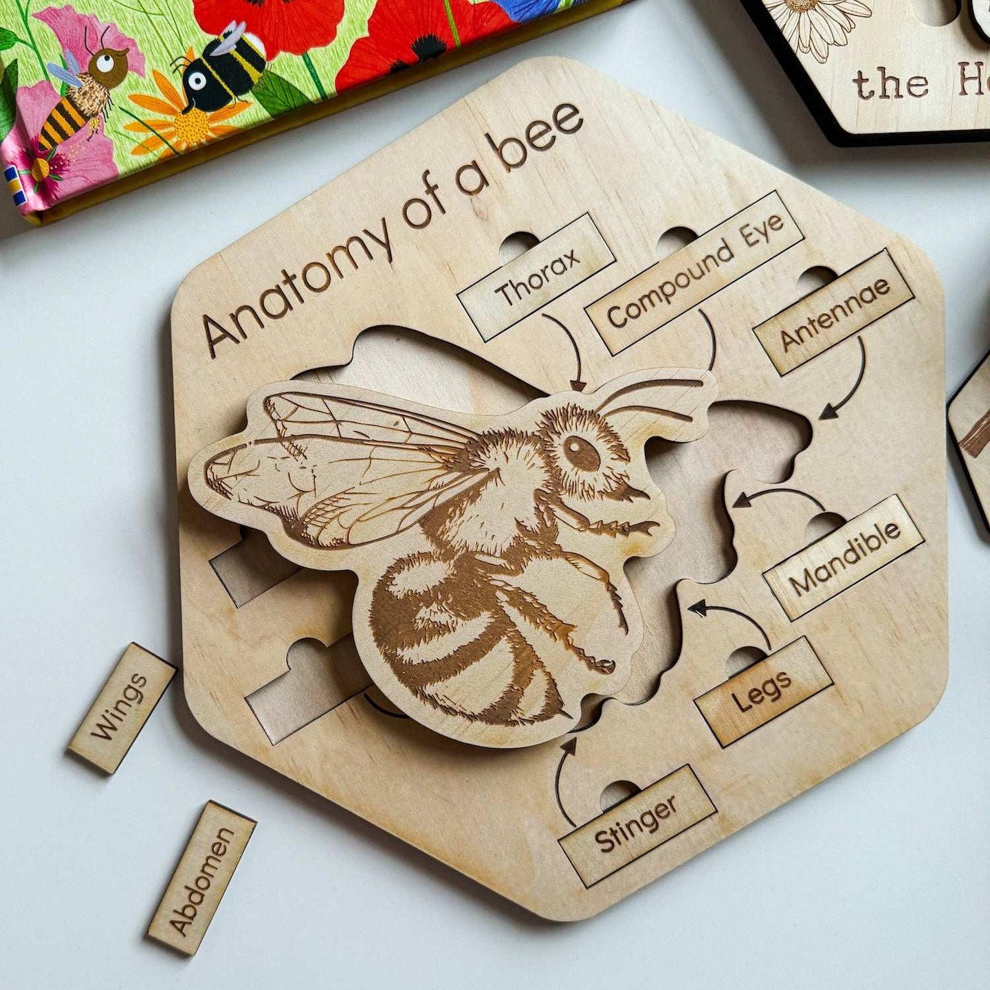 Anatomy of a Bee Puzzle – Bandicute