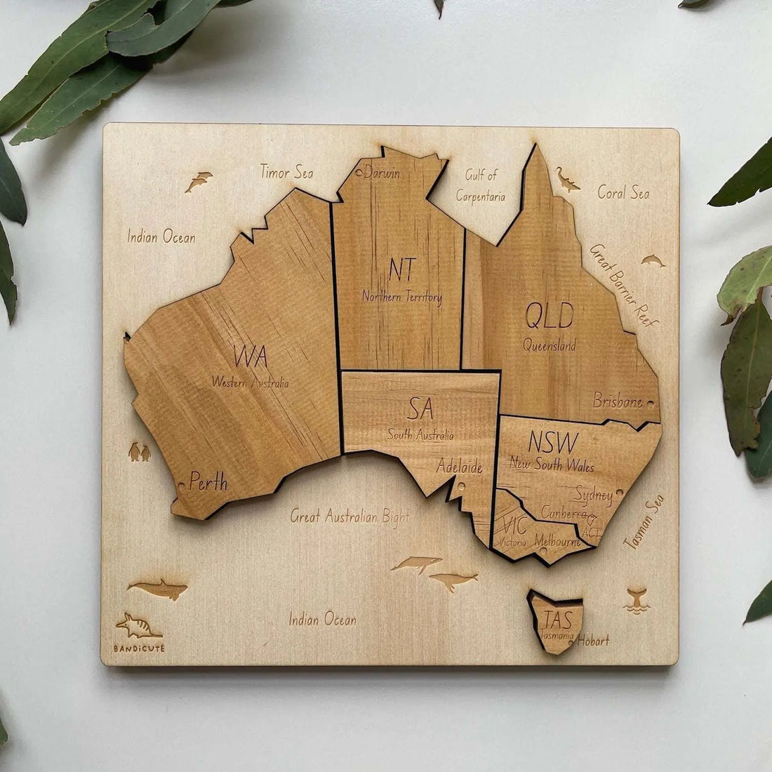 Wooden Australia Puzzle - Educational Map – Bandicute