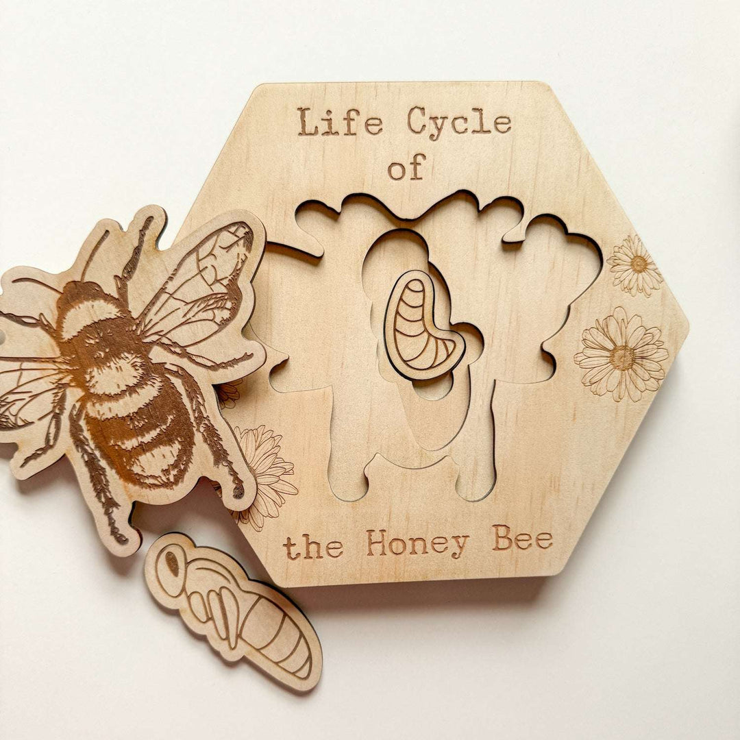 Bee Life Cycle Puzzle – Bandicute
