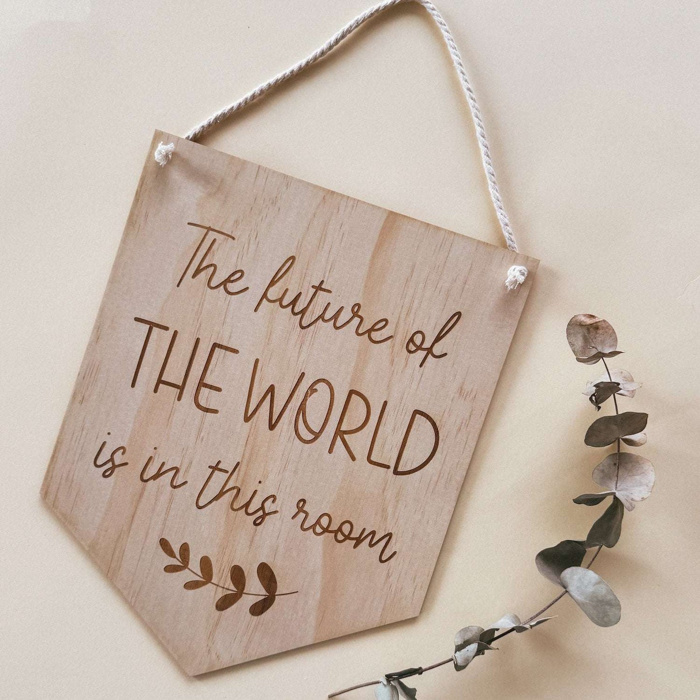 Classroom Plaque - The Future of the World – Bandicute